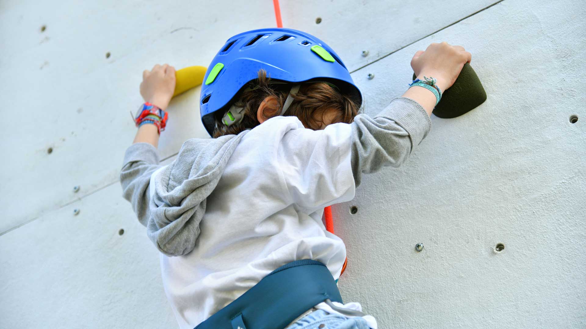 Jornadas Internacionais CMRA 2024 - Santa Casa da Misericórdia de Lisboa